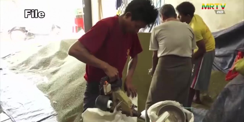 Bean Export: Over 680,000 tons exported in 5 months of 2022-2023 FY | Myanmar International TV